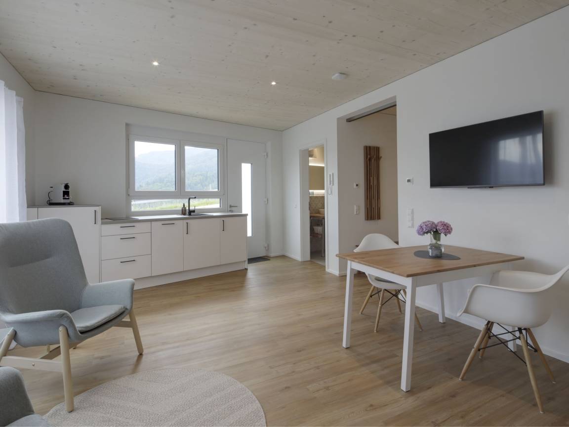 45 M² Apartamento ∙ 1 Habitación ∙ 2 Huéspedes - Friburgo de Brisgovia