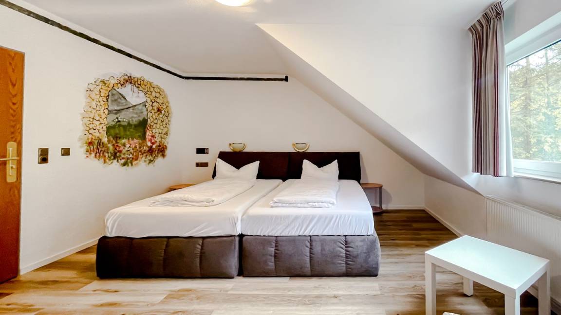 24 M² Gedeelde Kamer ∙ 1 Slaapkamer ∙ 2 Gasten - Winterberg