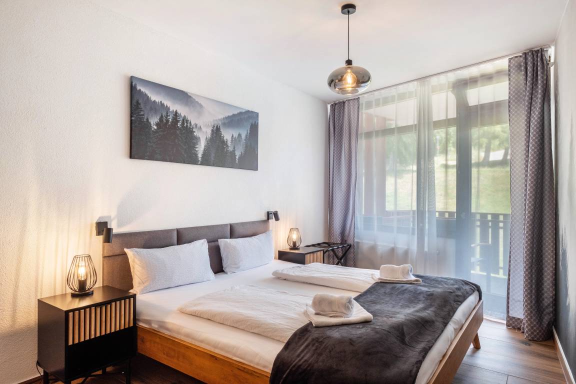 43 M² Apartment ∙ 1 Bedroom ∙ 4 Guests - Titisee-Neustadt