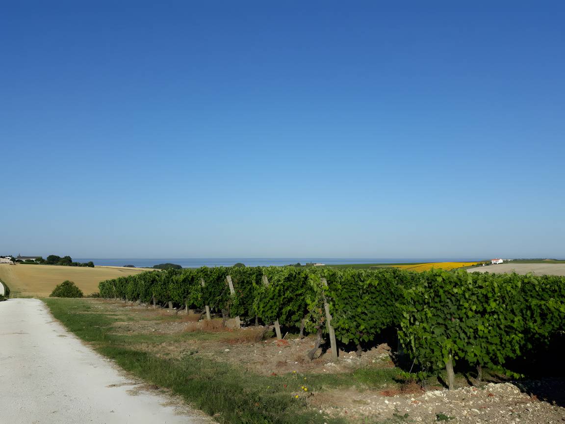 80 M² Chambre D'hôtes ∙ 3 Chambres ∙ 6 Personnes - Talmont-sur-Gironde