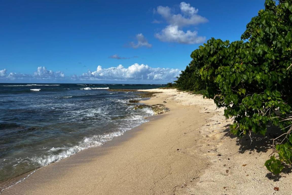 30 M² Appartement ∙ 1 Chambre ∙ 3 Personnes - Guadeloupe