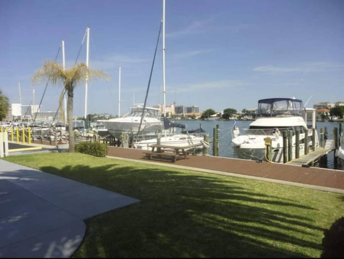 41 M² Apartment ∙ 1 Bedroom ∙ 4 Guests - Clearwater, FL