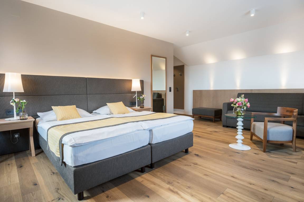 Private Room ∙ 2 Bedrooms ∙ 2 Guests - Baden bei Wien