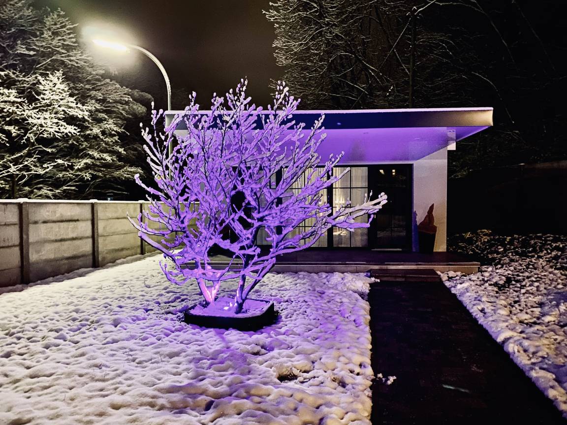 35 M² House ∙ 1 Bedroom ∙ 4 Guests - Bad Laasphe