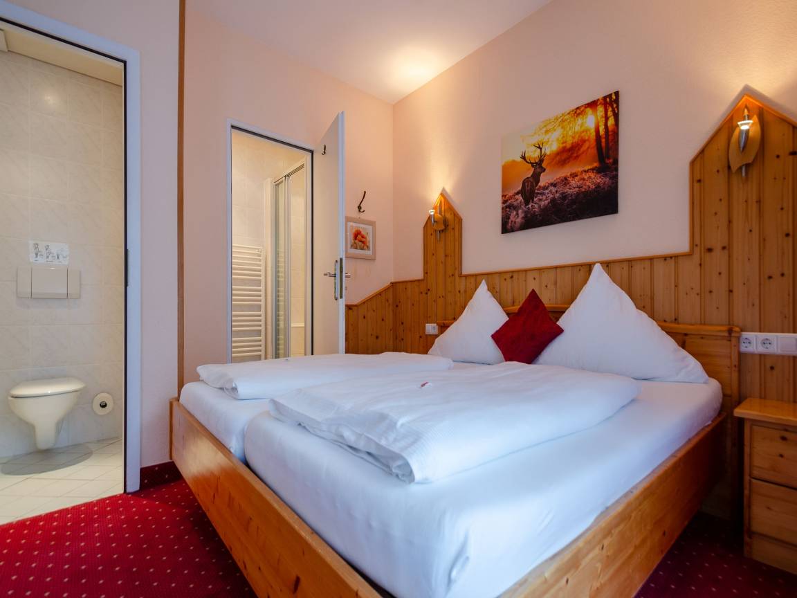 Ferienwohnung ∙ 1 Schlafzimmer ∙ 2 Gäste - Albbruck