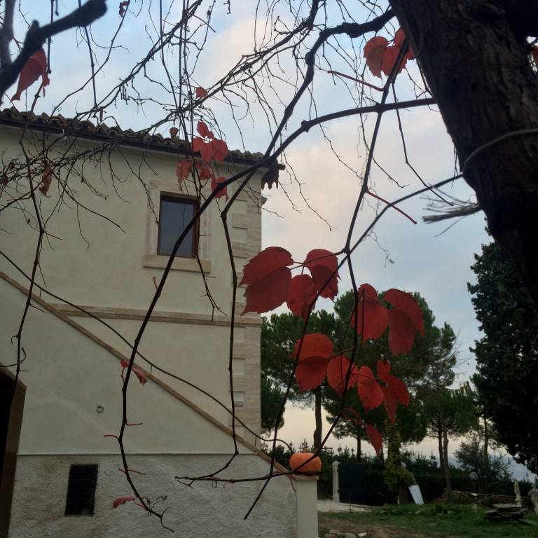 85 M² Casa Rural ∙ 2 Habitaciones ∙ 6 Huéspedes - Marcas