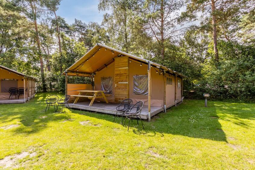 25 M² Tent ∙ 2 Bedrooms ∙ 4 Guests - Breda