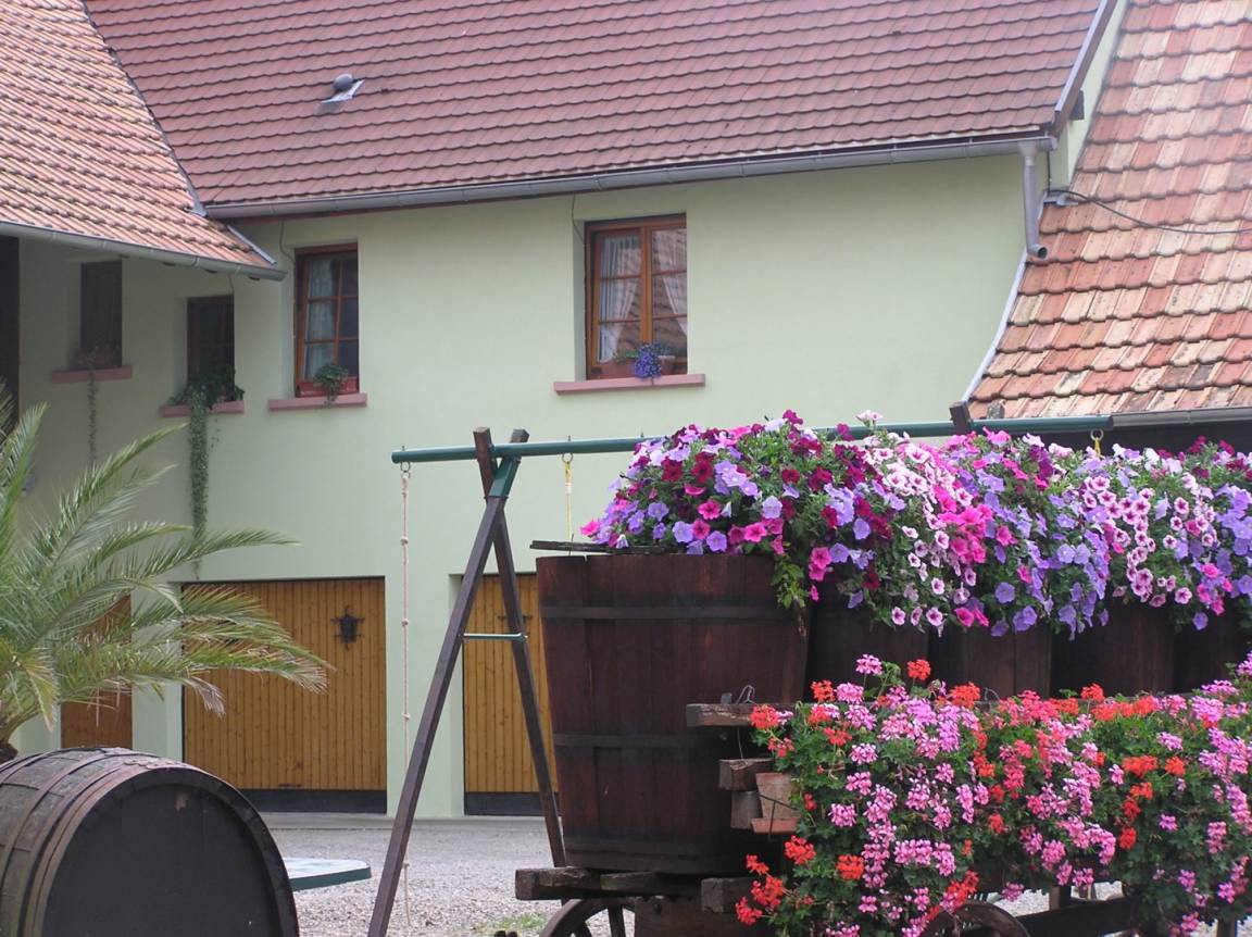 45 M² Gîte ∙ 2 Chambres ∙ 3 Personnes - Colmar