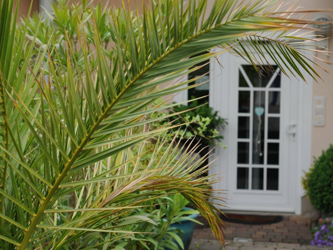 65 M² Apartment ∙ 1 Bedroom ∙ 2 Guests - Boppard