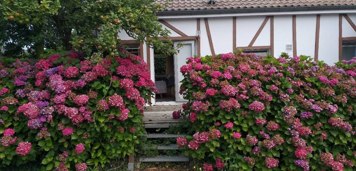 54 M² Chalet ∙ 3 Chambres ∙ 4 Personnes - Veules-les-Roses
