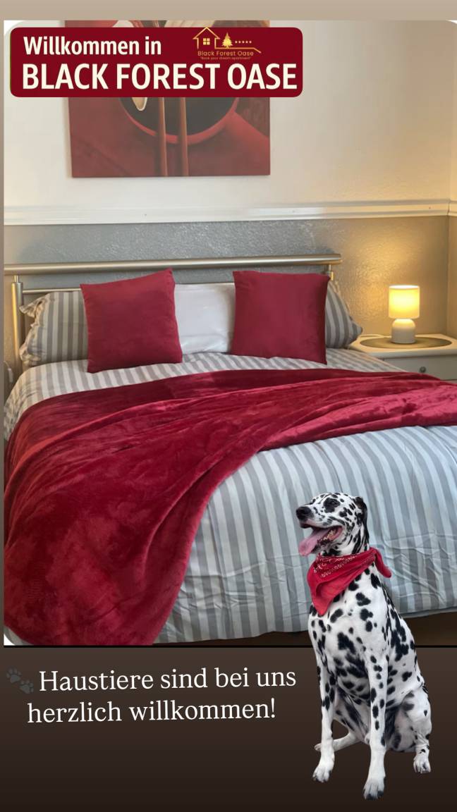 Apartment ∙ 1 Bedroom ∙ 3 Guests - Gaggenau