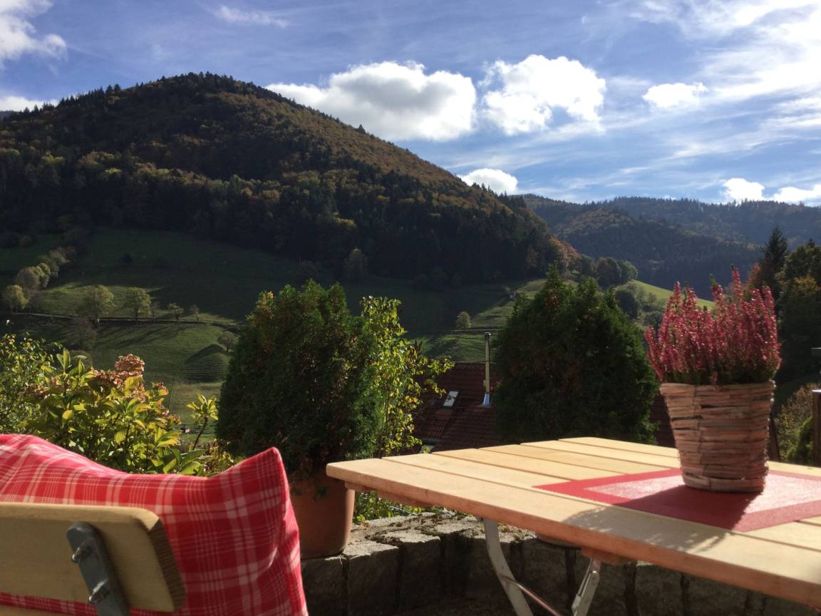 55 M² Ferienwohnung ∙ 1 Schlafzimmer ∙ 4 Gäste - Münstertal/Schwarzwald