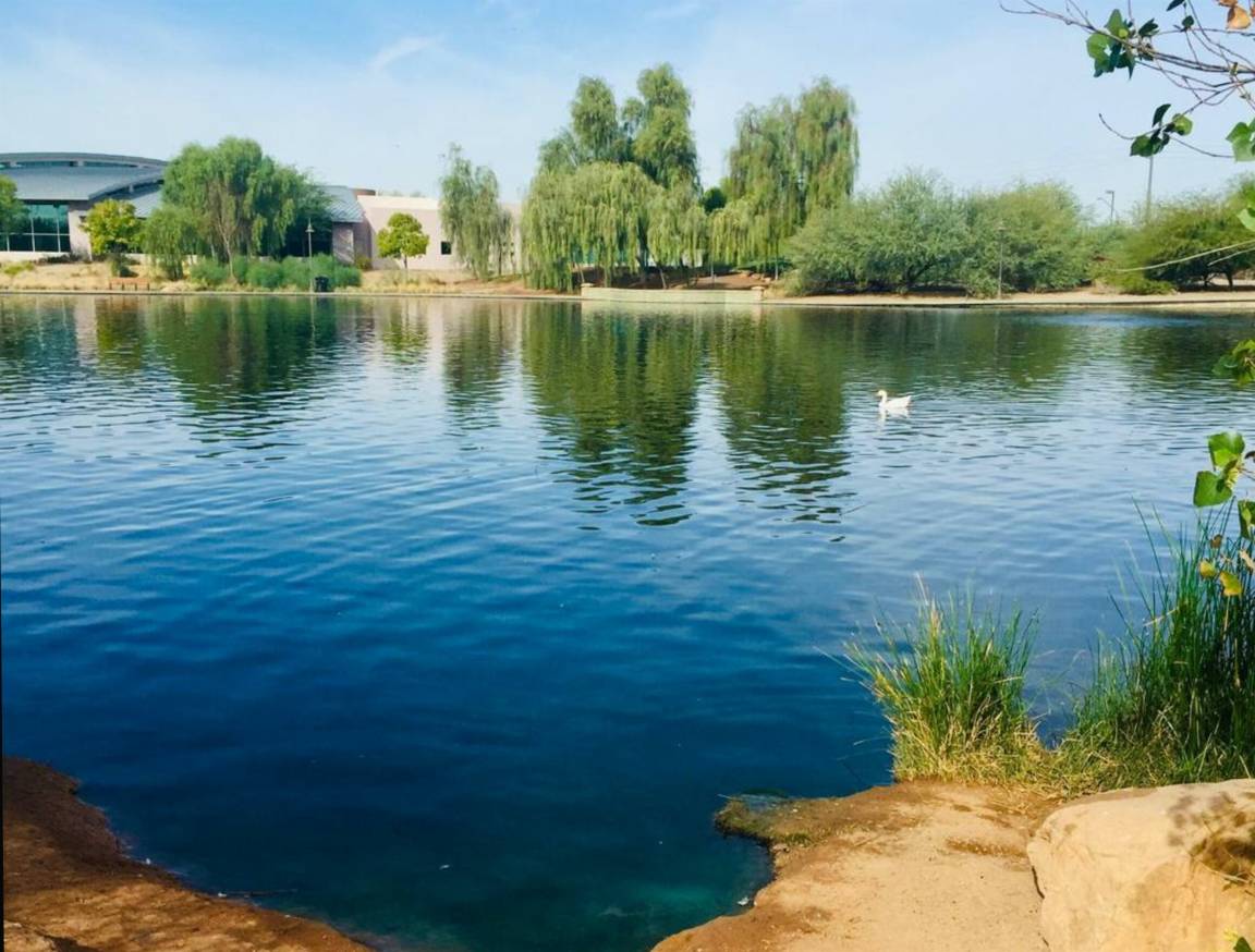 372 M² House ∙ 5 Bedrooms ∙ 12 Guests - Gilbert, AZ