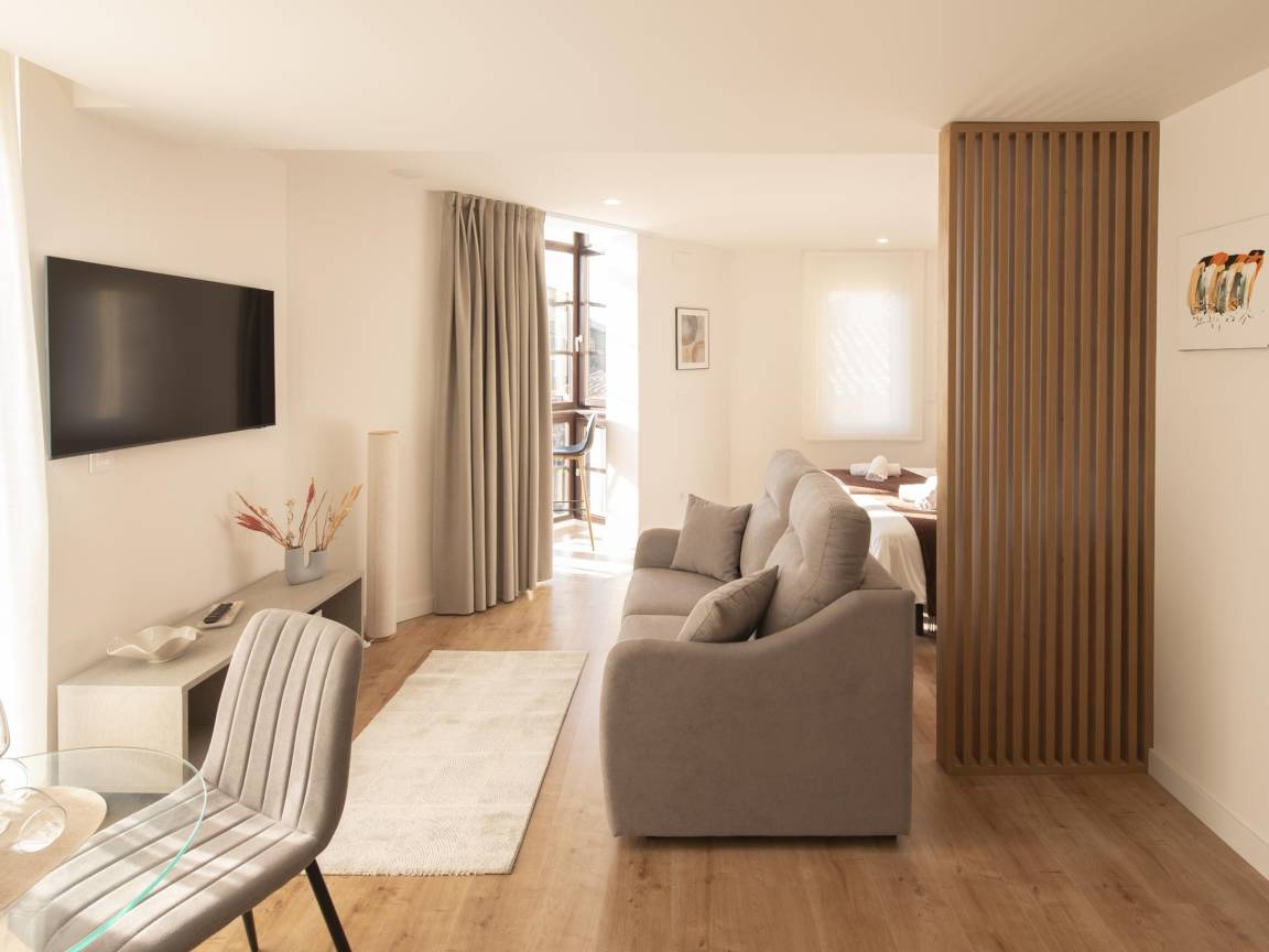41 M² Studio Flat ∙ 1 Bedroom ∙ 3 Guests - Logroño