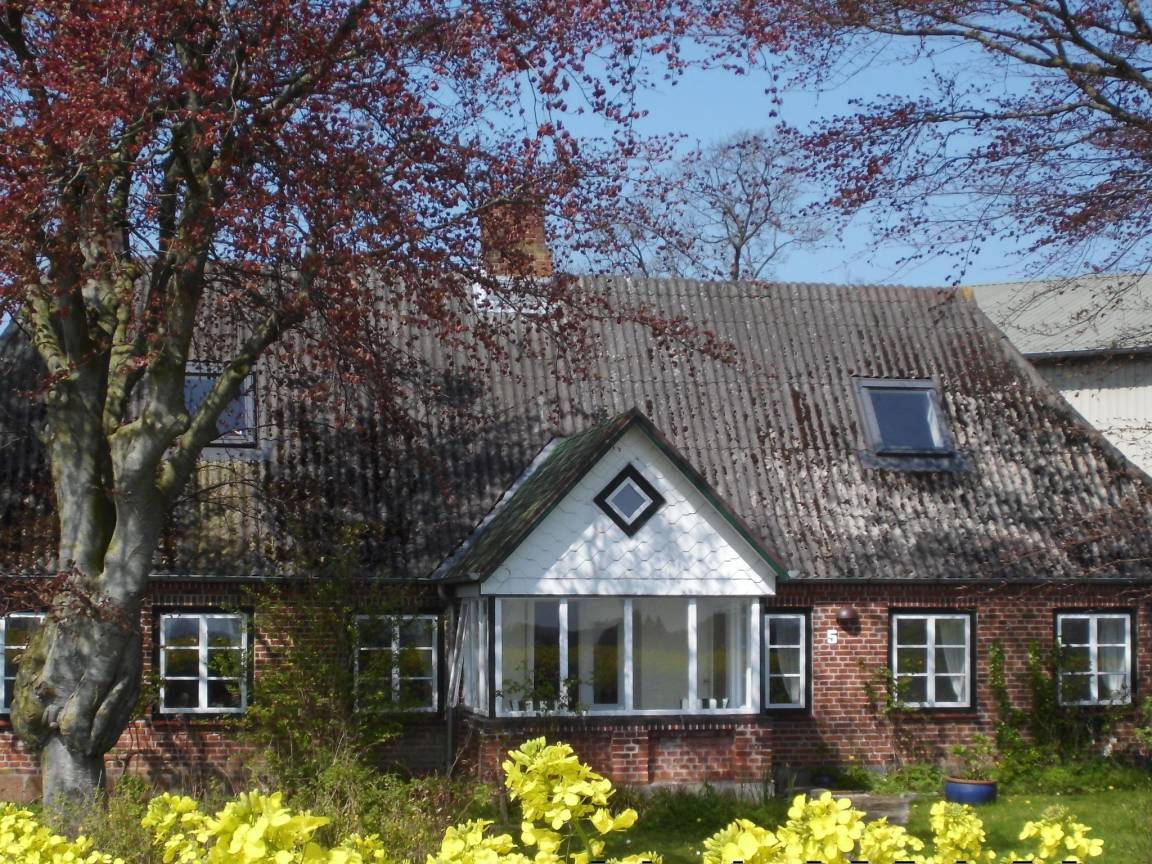 110 M² Ferienhaus ∙ 3 Schlafzimmer ∙ 5 Gäste - Schleswig-Holstein