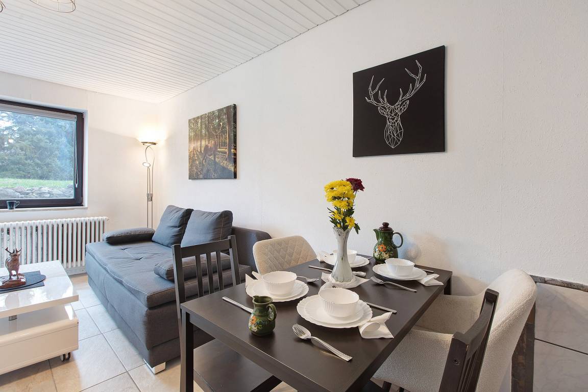 55 M² Appartement ∙ 1 Chambre ∙ 4 Personnes - Schluchsee