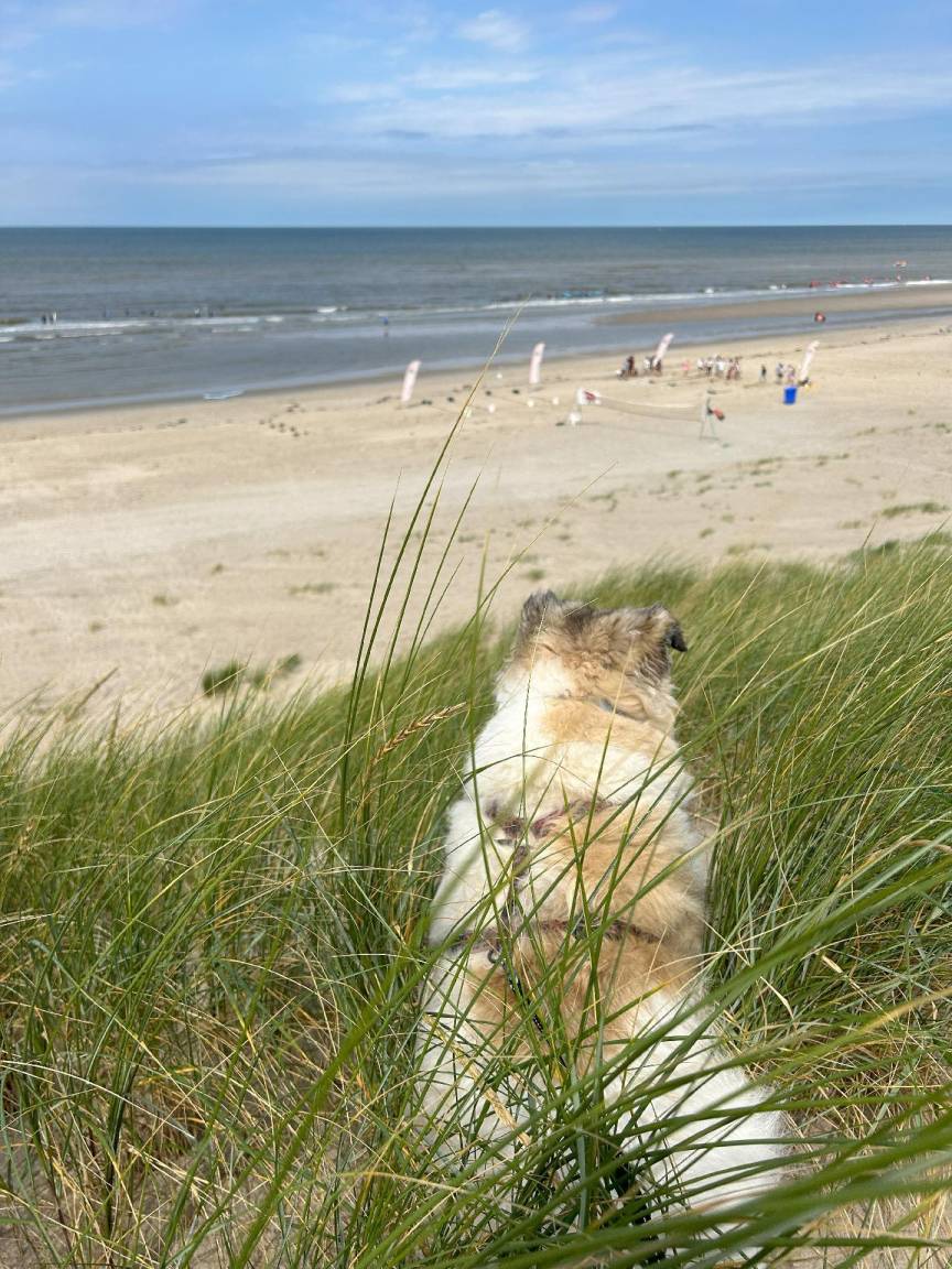 50 M² Maison De Vacances ∙ 3 Chambres ∙ 5 Personnes - Groet