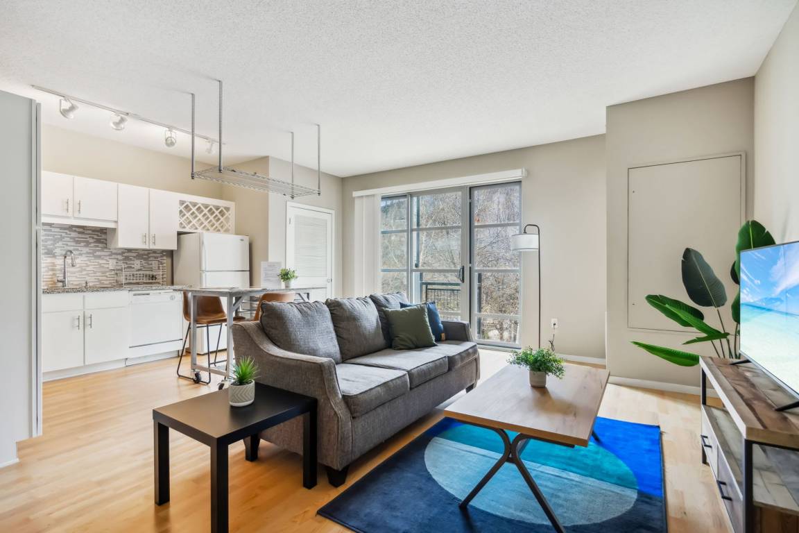 Apartamento ∙ 1 Habitación ∙ 2 Huéspedes - Minneapolis