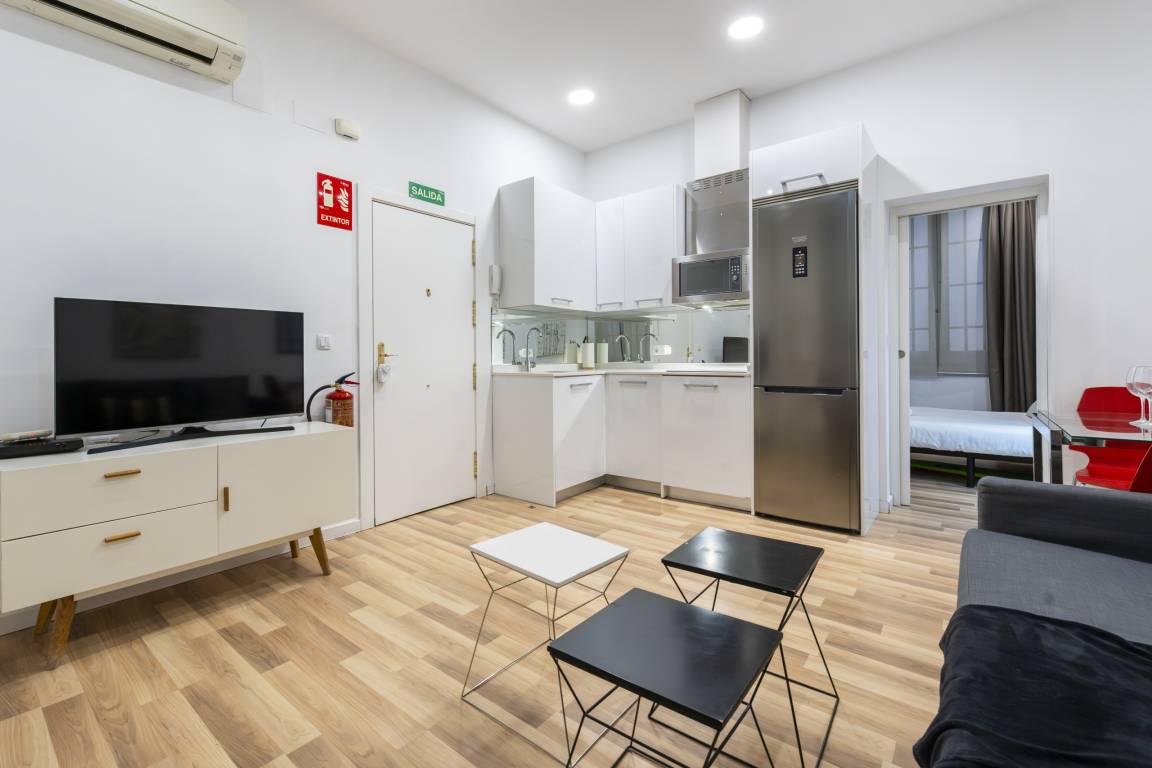 50 M² Apartamento ∙ 1 Habitación ∙ 4 Huéspedes - Madrid