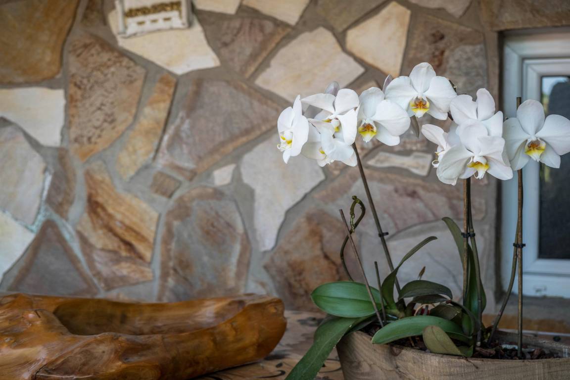 55 M² Ferienwohnung ∙ 1 Schlafzimmer ∙ 2 Gäste - Reichenau