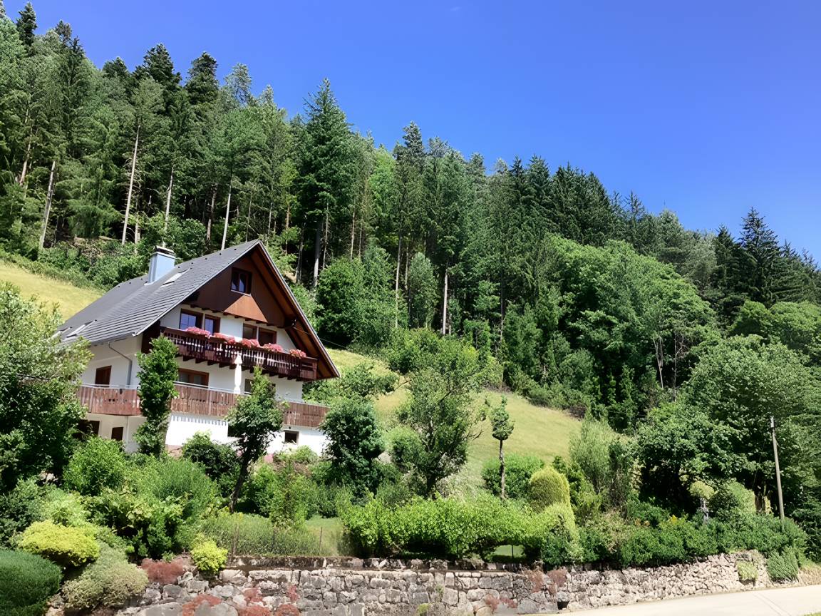 80 M² Ferienwohnung ∙ 2 Schlafzimmer ∙ 4 Gäste - Hornberg