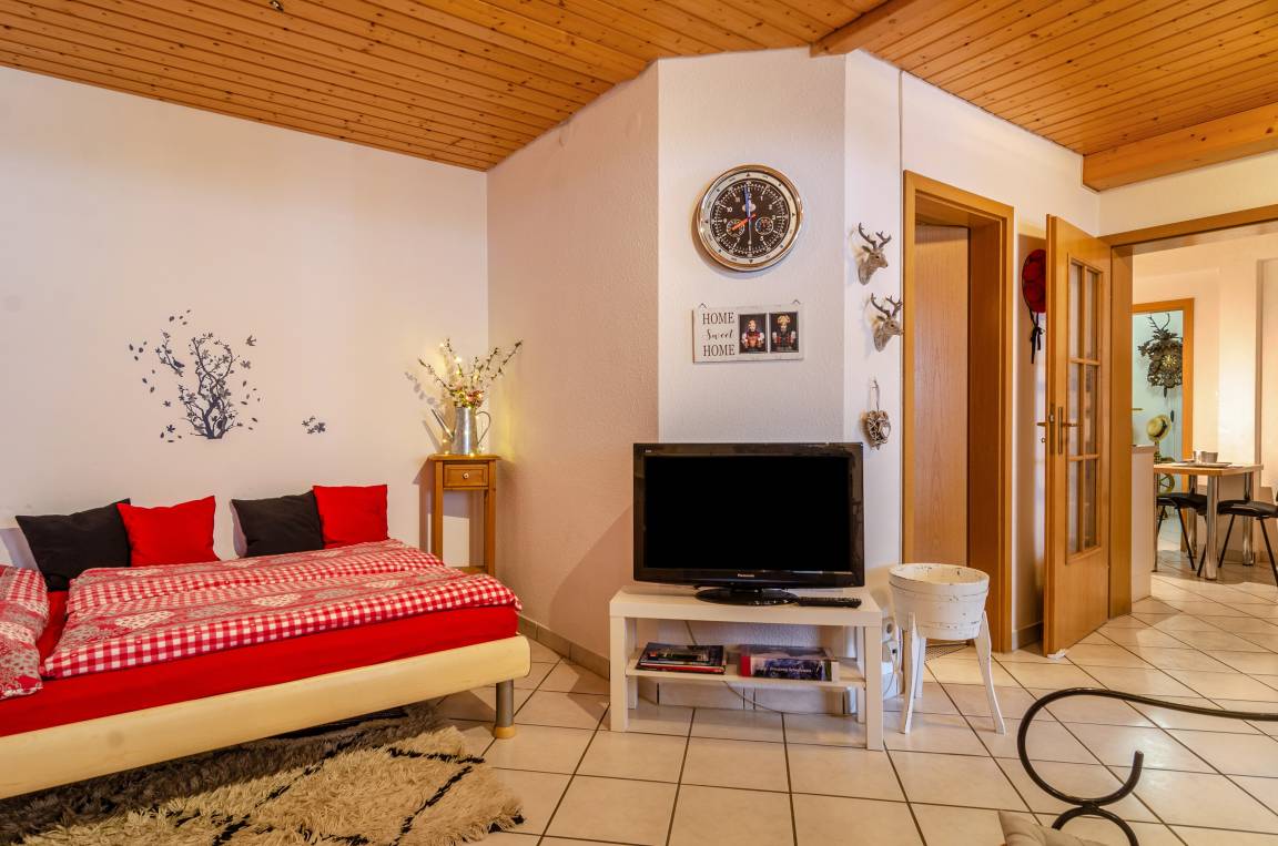 36 M² Studio Flat ∙ 1 Bedroom ∙ 2 Guests - Triberg