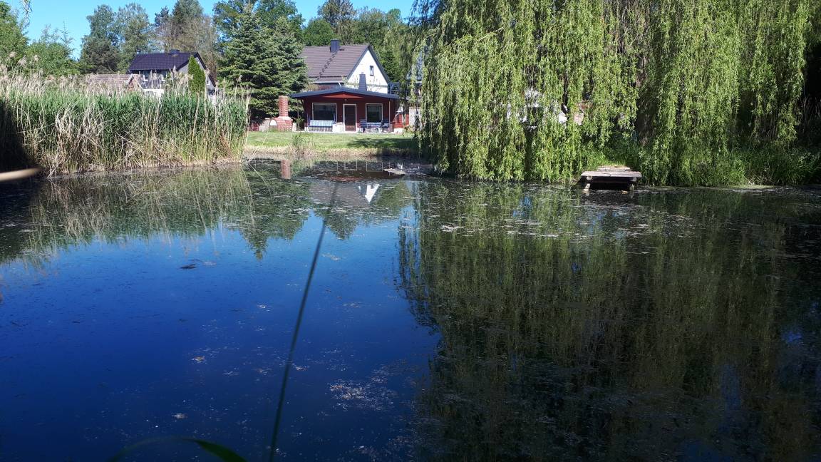 Bungalow ∙ 1 Schlafzimmer ∙ 4 Gäste - Harz