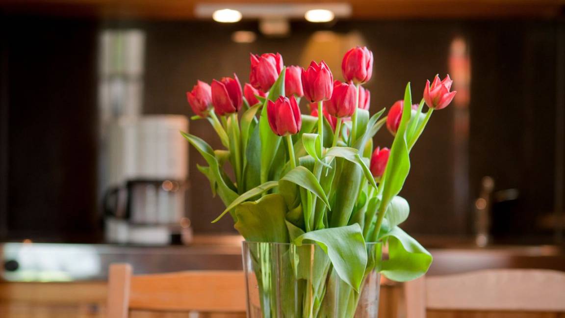 28 M² Ferienhaus ∙ 2 Schlafzimmer ∙ 4 Gäste - Lübbenau/Spreewald