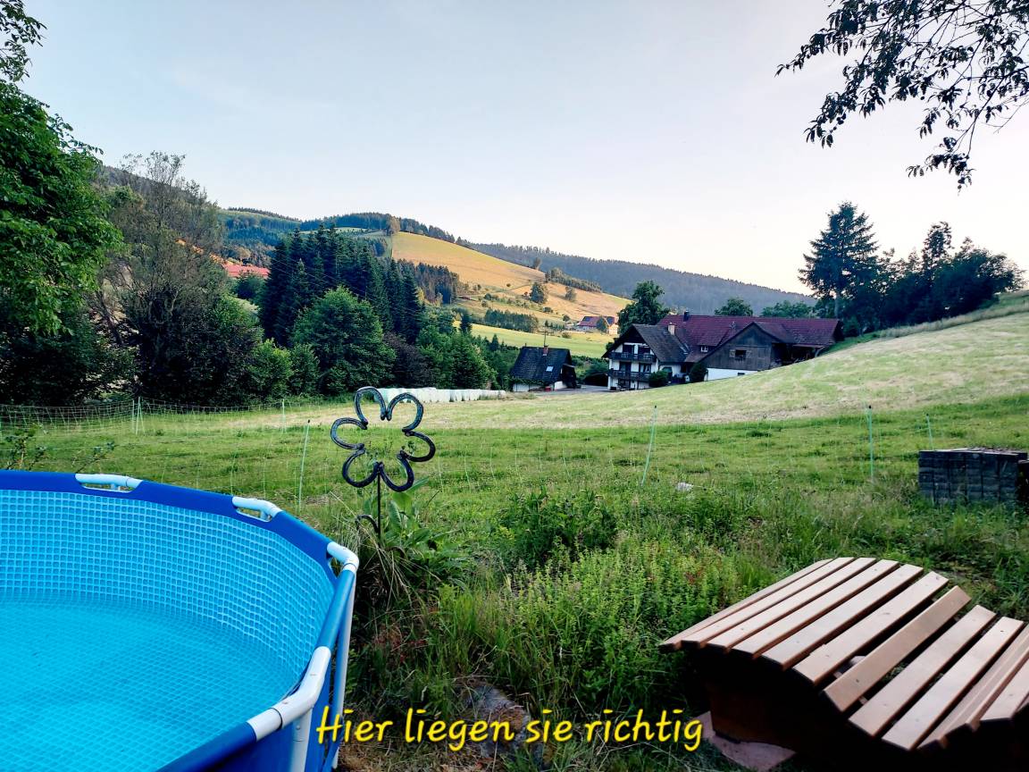 35 M² Ferienwohnung ∙ 1 Schlafzimmer ∙ 4 Gäste - Zell am Harmersbach