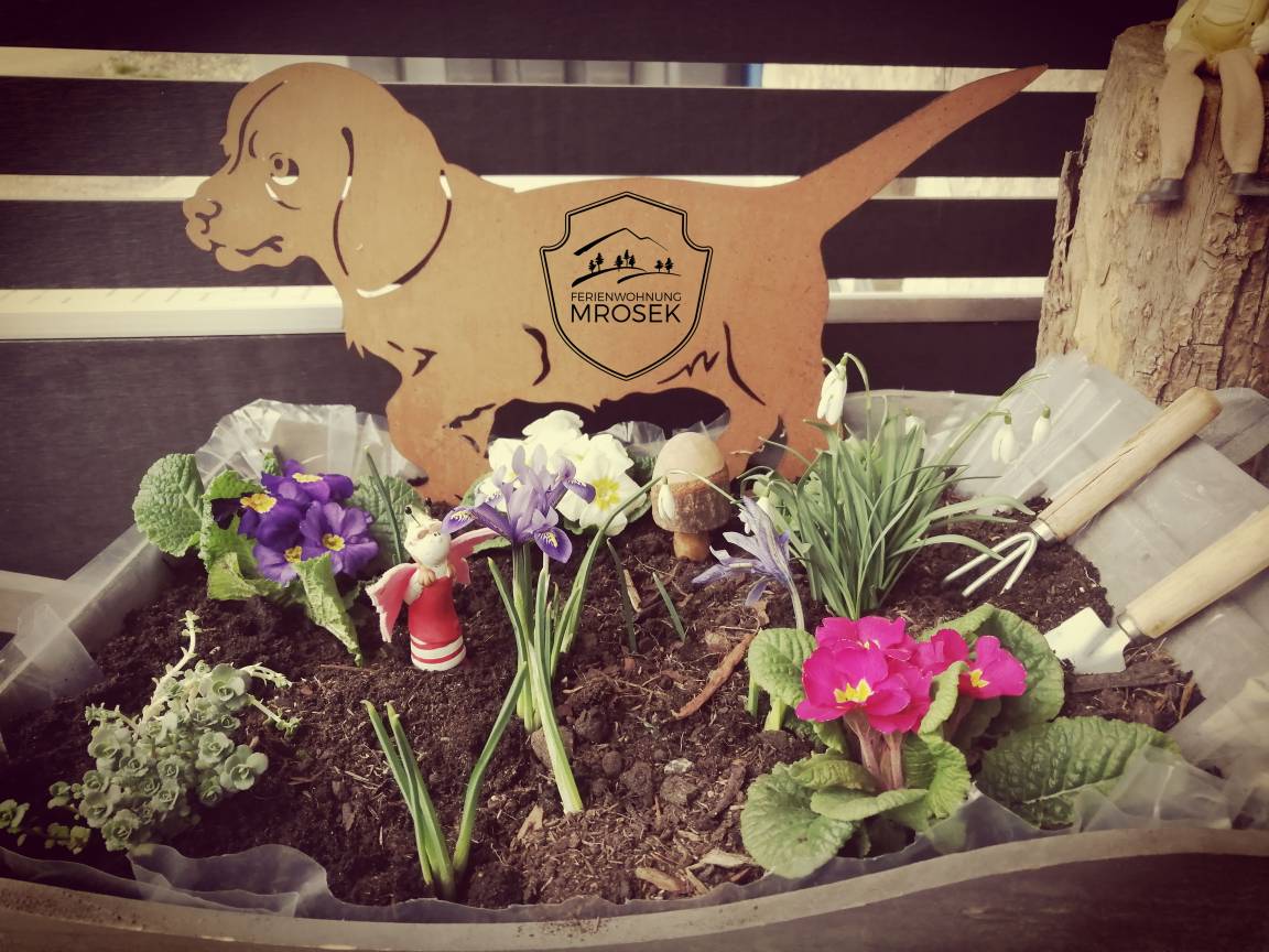 103 M² Ferienwohnung ∙ 3 Schlafzimmer ∙ 6 Gäste - Blankenburg (Harz)