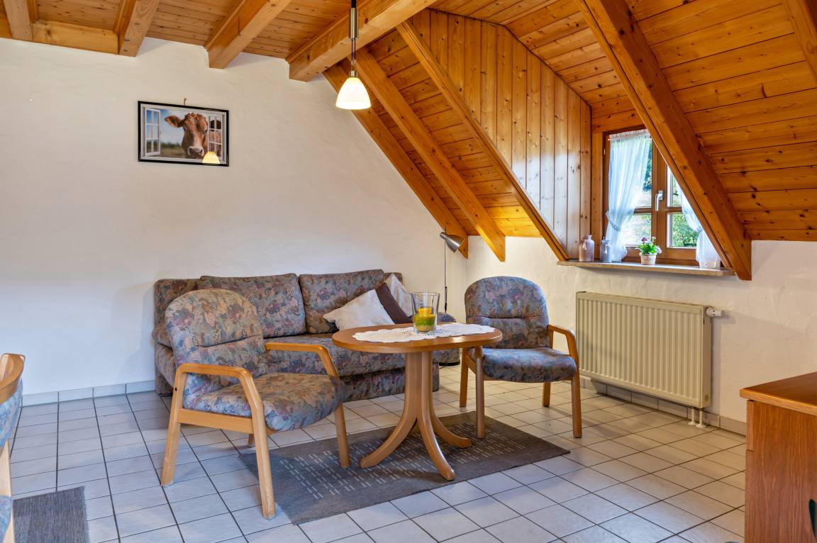 48 M² Ferienwohnung ∙ 1 Schlafzimmer ∙ 4 Gäste - Todtnauberg