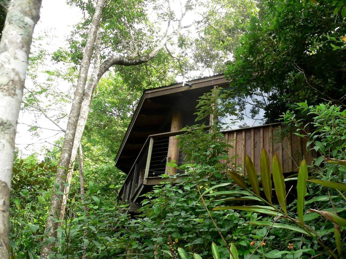 Camping ∙ 1 Bedroom ∙ 2 Guests - Atherton
