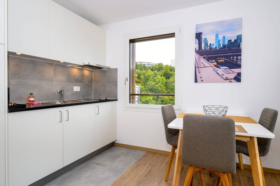 50 M² Appartement ∙ 1 Chambre ∙ 2 Personnes - Crissier