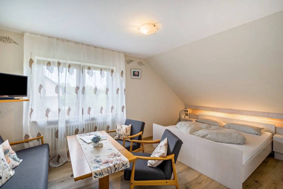 25 M² Apartment ∙ 1 Bedroom ∙ 3 Guests - Rust