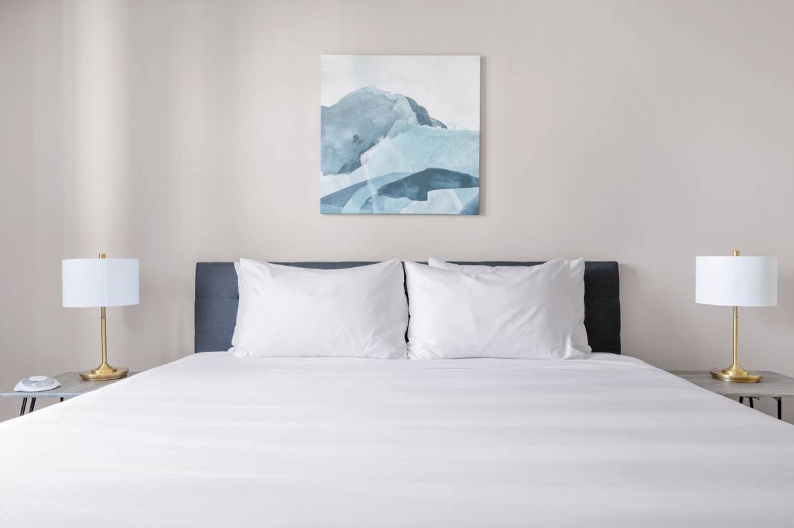 69 M² Hotel ∙ 1 Bedroom ∙ 3 Guests - Chicago, IL