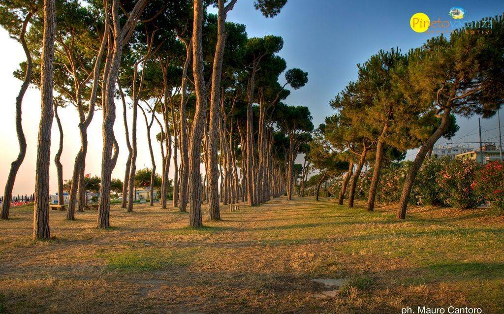 78 M² Appartamento Vacanza ∙ 3 Camere Da Letto ∙ 5 Ospiti - Pineto