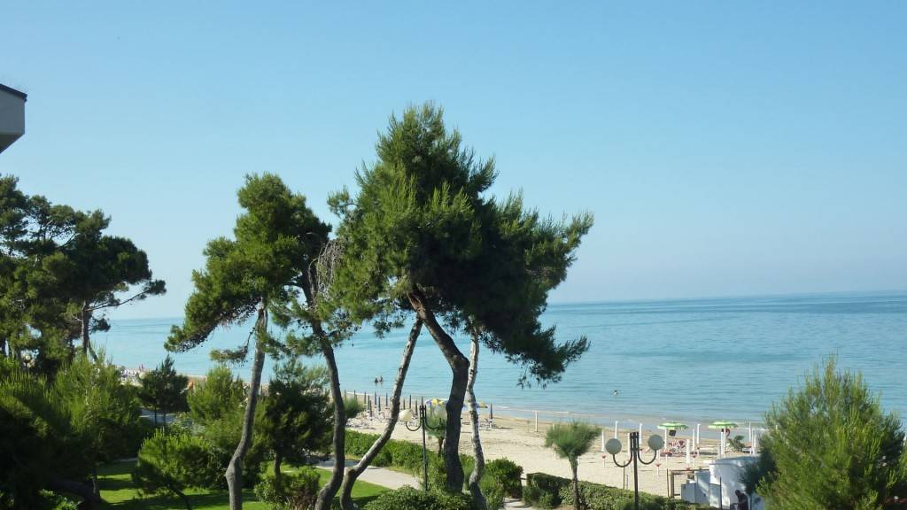 35 M² Apartamento ∙ 1 Habitación ∙ 3 Huéspedes - Pineto