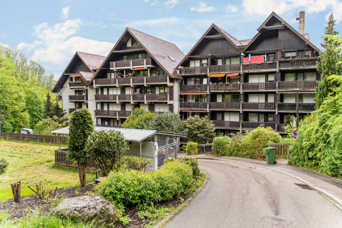 35 M² Studio ∙ 3 Personnes - Sasbachwalden