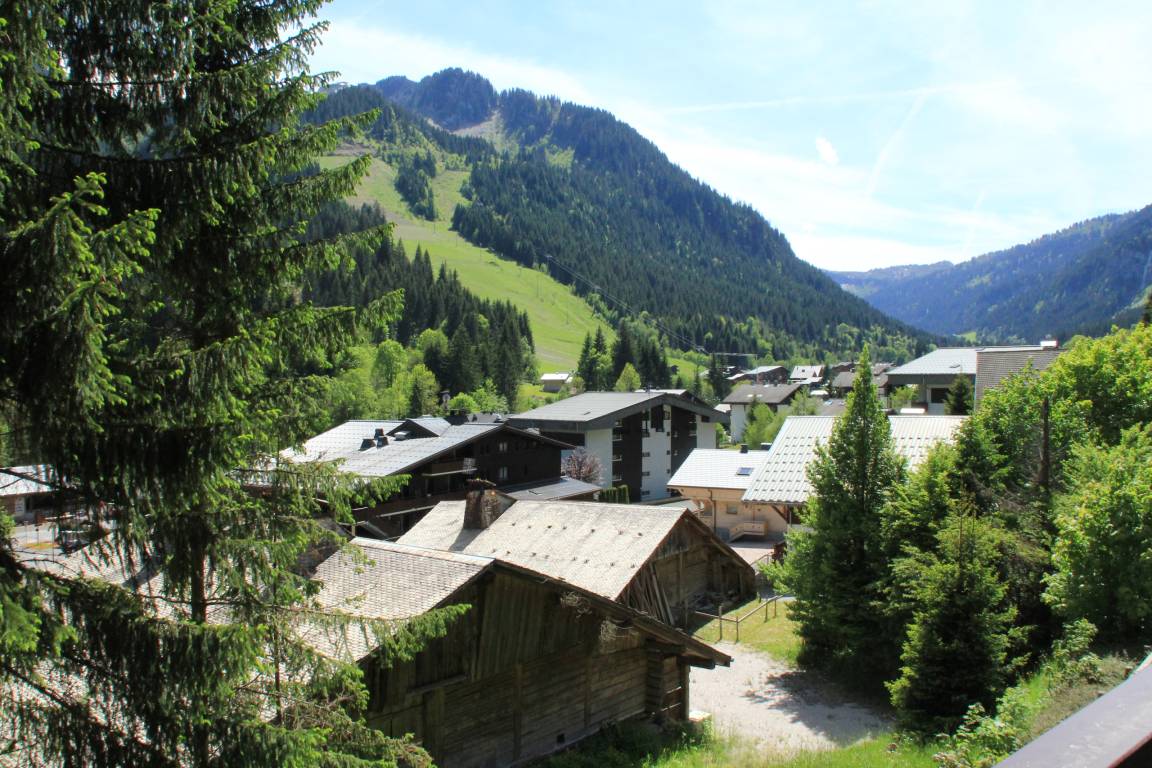 25 M² Apartment ∙ 1 Bedroom ∙ 4 Guests - Les Crosets (Val-d'Illiez)