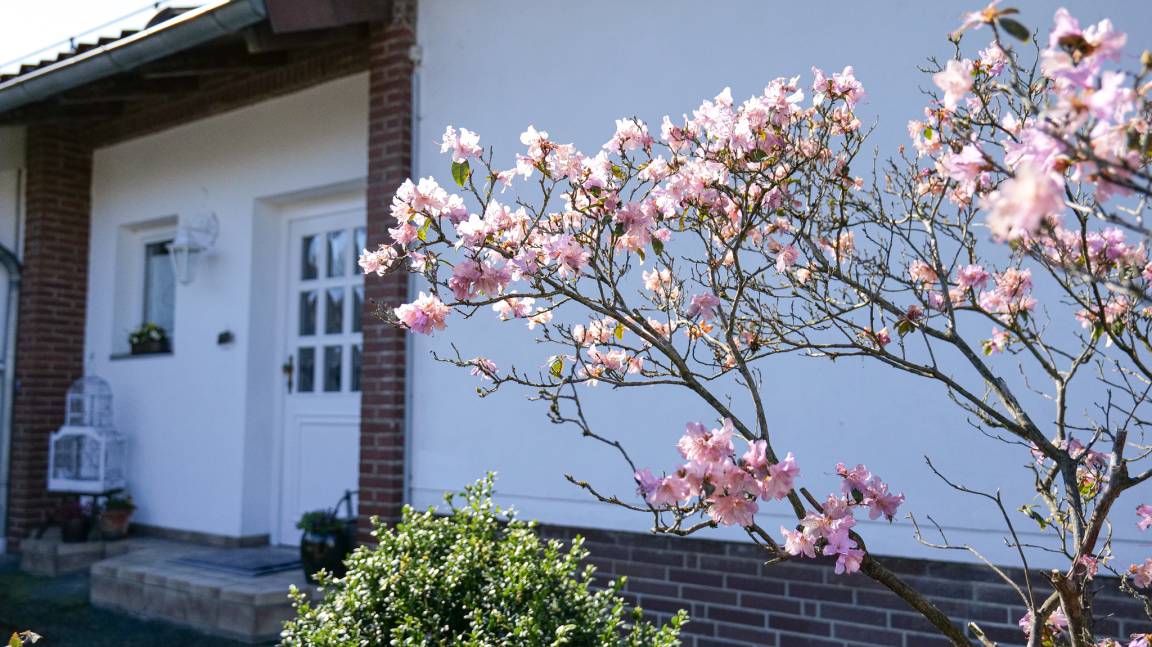 90 M² Ferienhaus ∙ 1 Schlafzimmer ∙ 5 Gäste - Harz