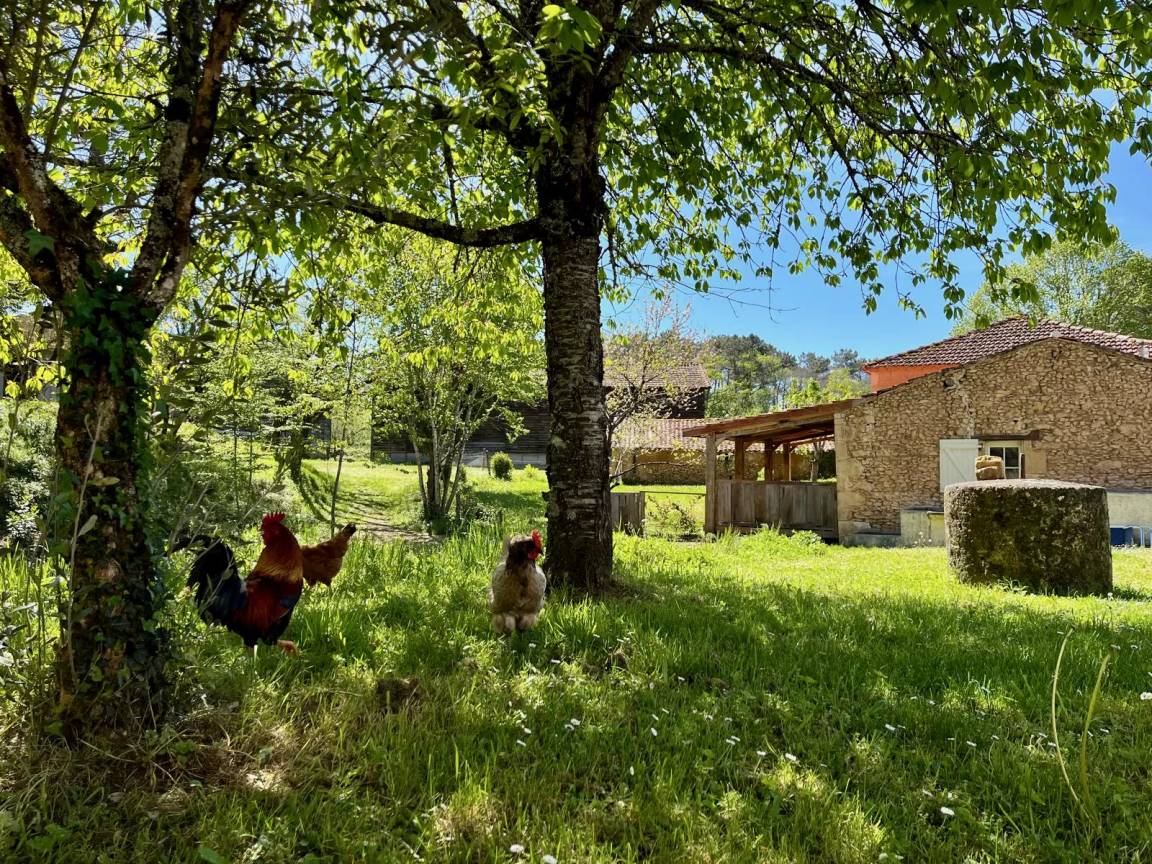 35 M² Maison De Vacances ∙ 2 Personnes - Biron