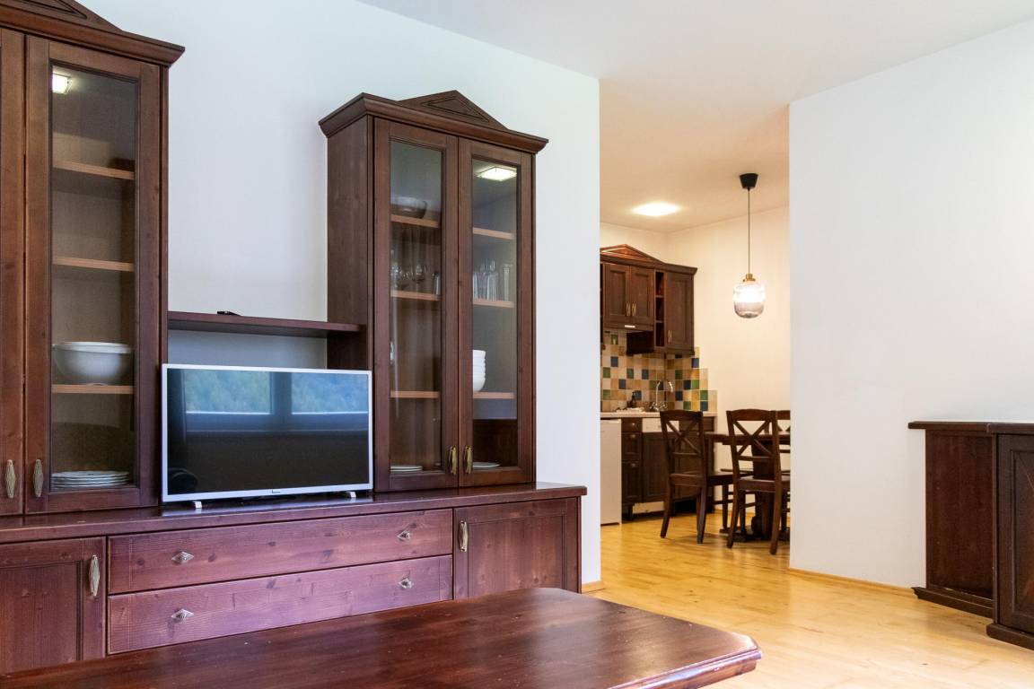 54 M² Apartment ∙ 1 Bedroom ∙ 4 Guests - Soelden