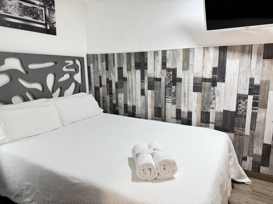 27 M² Apartamento ∙ 1 Habitación ∙ 4 Huéspedes - Museo Cerralbo