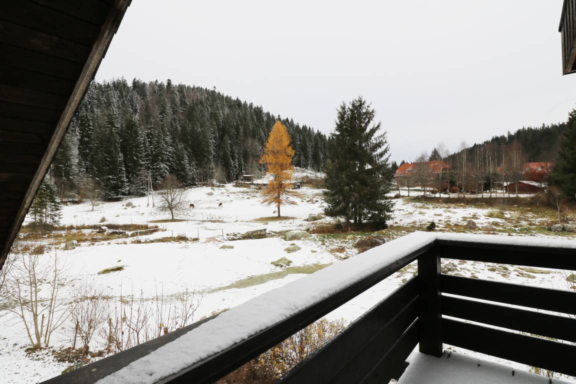 35 M² Apartment ∙ 1 Bedroom ∙ 2 Guests - Schluchsee