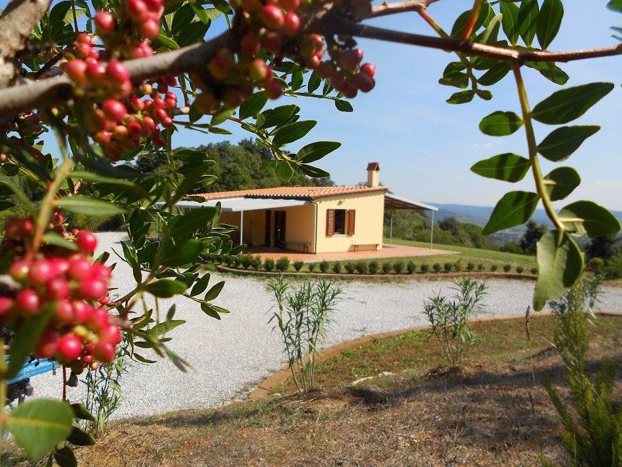60 M² Farmhouse ∙ 1 Bedroom ∙ 2 Guests - Campiglia Marittima