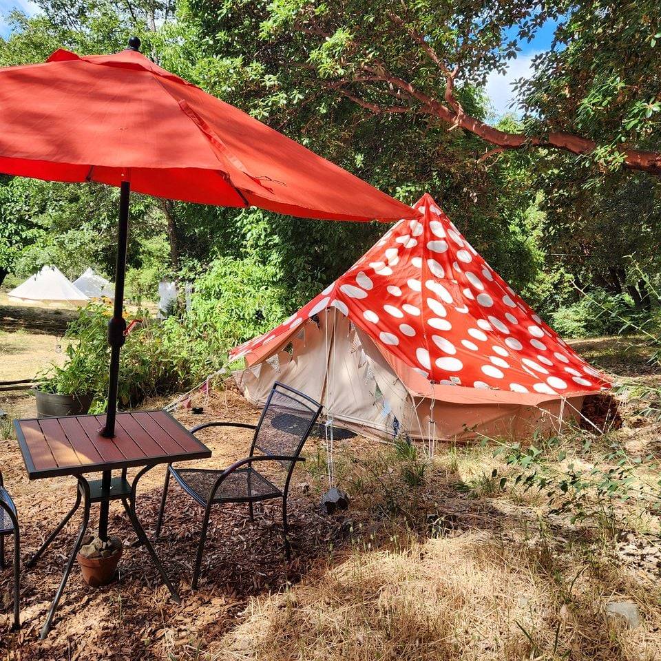 Camping ∙ 1 Bedroom ∙ 2 Guests - California