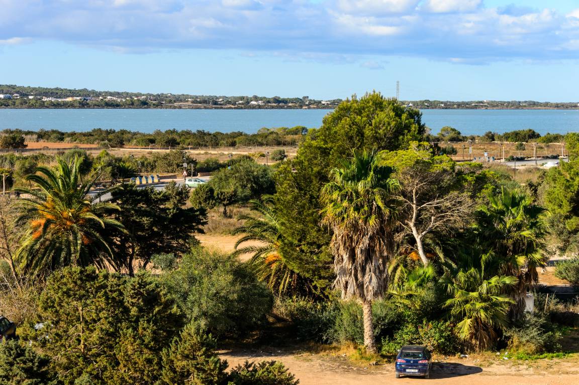 44 M² Apartment ∙ 1 Bedroom ∙ 4 Guests - Formentera