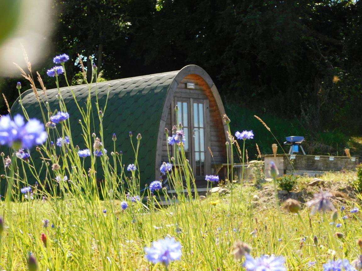 15 M² Cabin ∙ 1 Bedroom ∙ 2 Guests - County Donegal