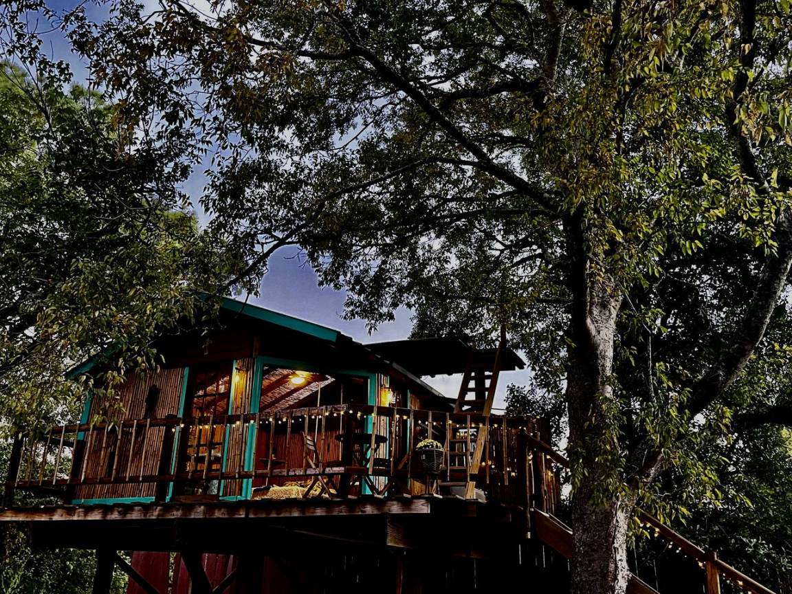 Camping ∙ 1 Bedroom ∙ 2 Guests - Lake Conroe, TX