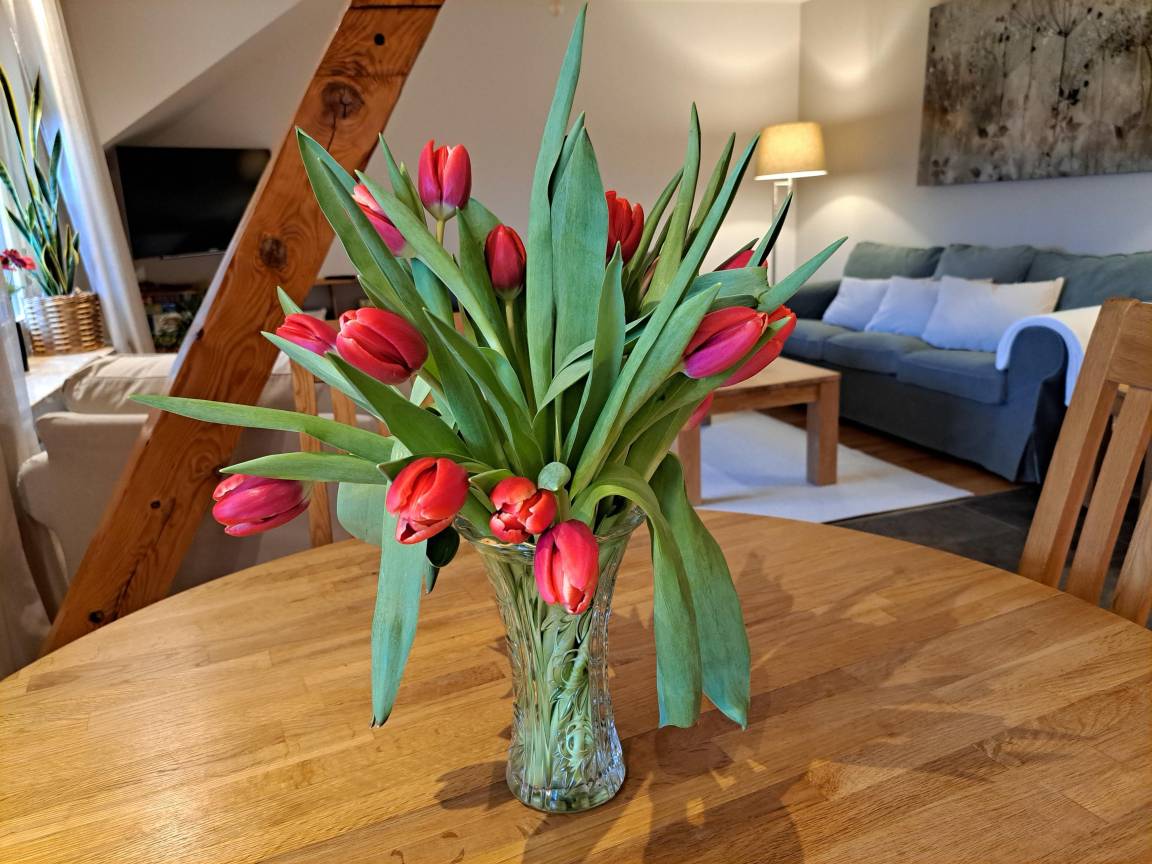 Ferienwohnung ∙ 3 Schlafzimmer ∙ 2 Gäste - Wietzendorf